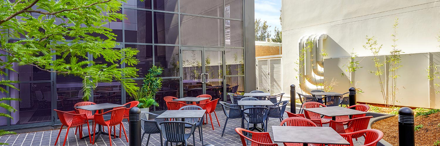 T's Bar & Bistro Sydney Airport | Official Website